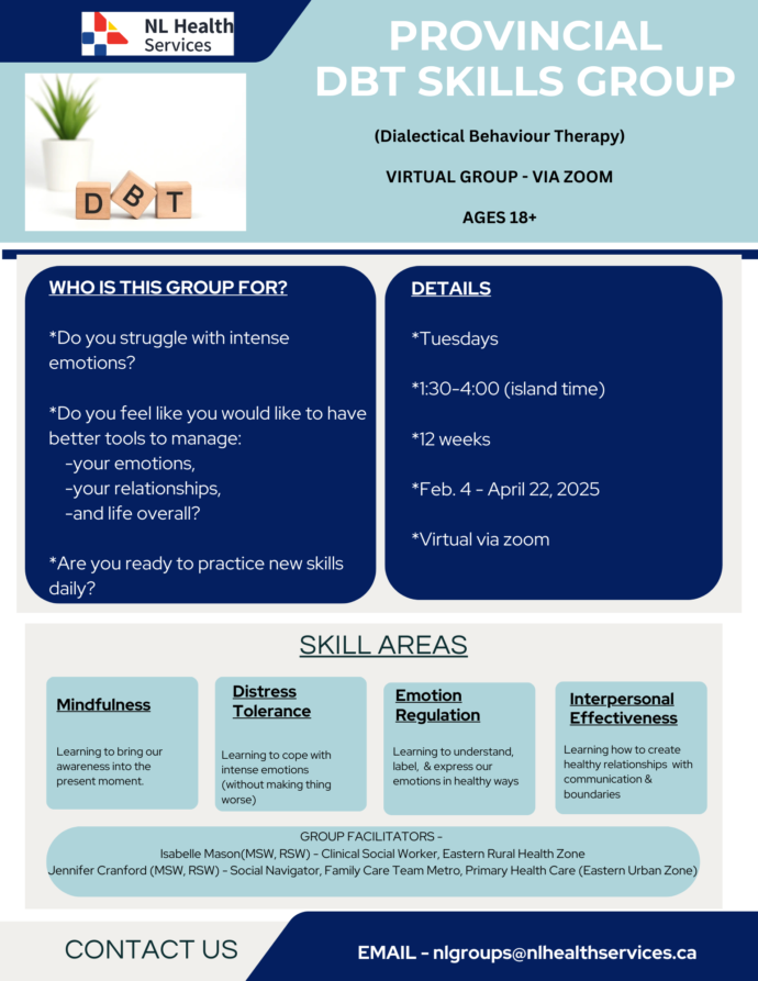 DBT Skills Group - Bridge the gapp